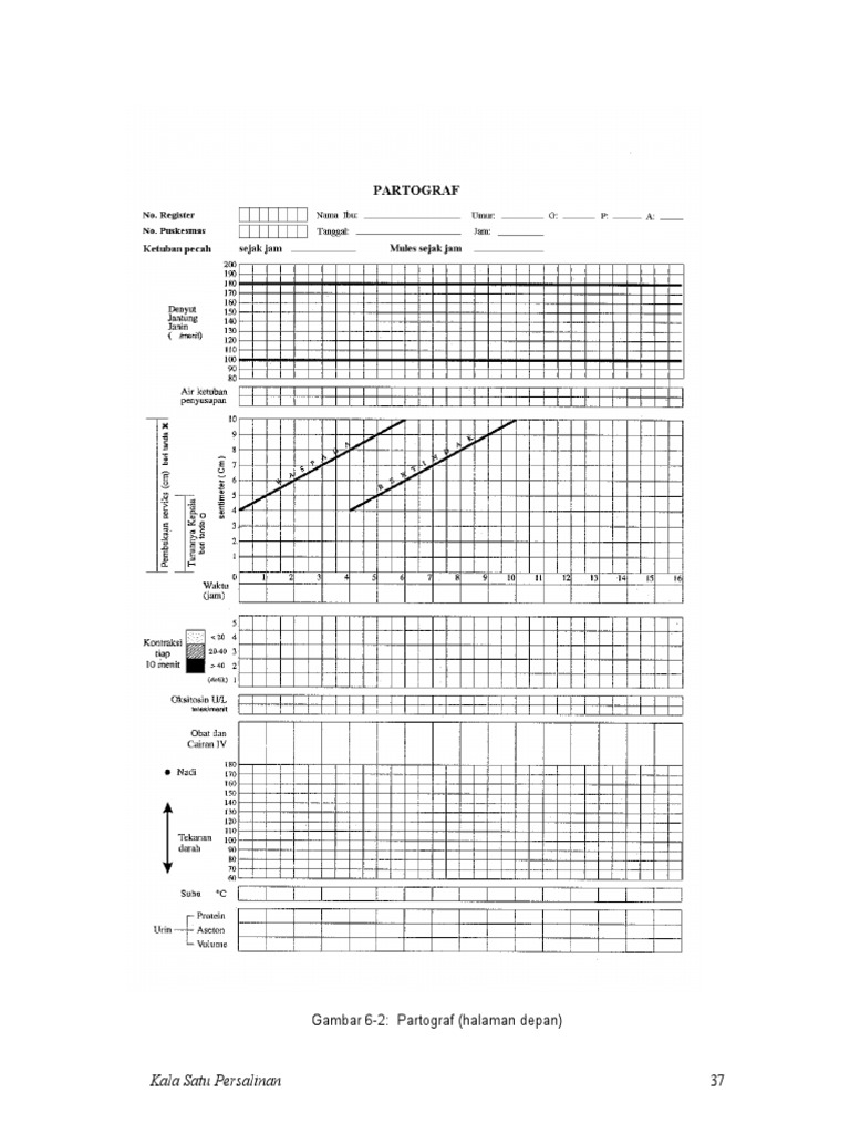 Partograf | PDF