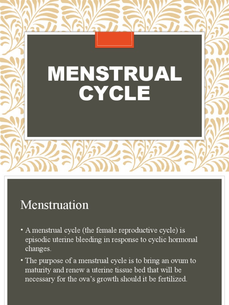 Menstrual Cycle | PDF | Menstrual Cycle | Menstruation