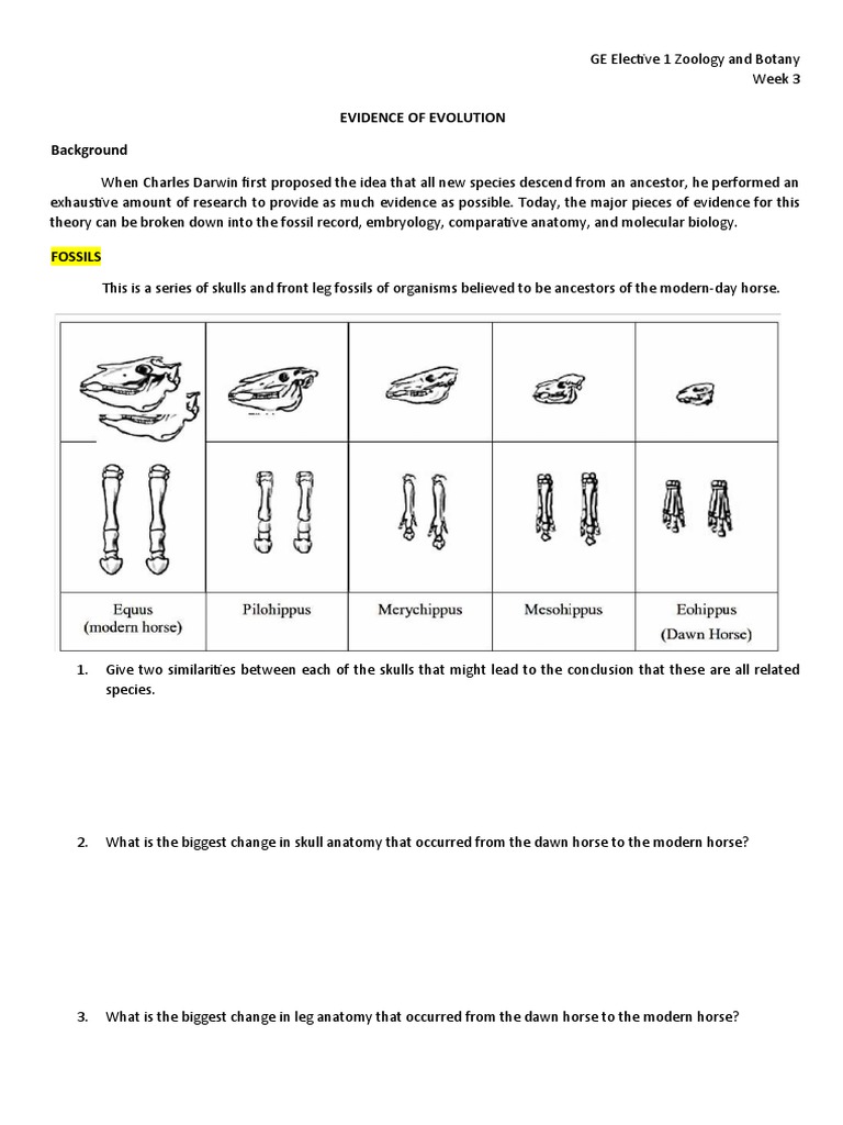 Evidence of Evolution | PDF | Zoology | Evolution