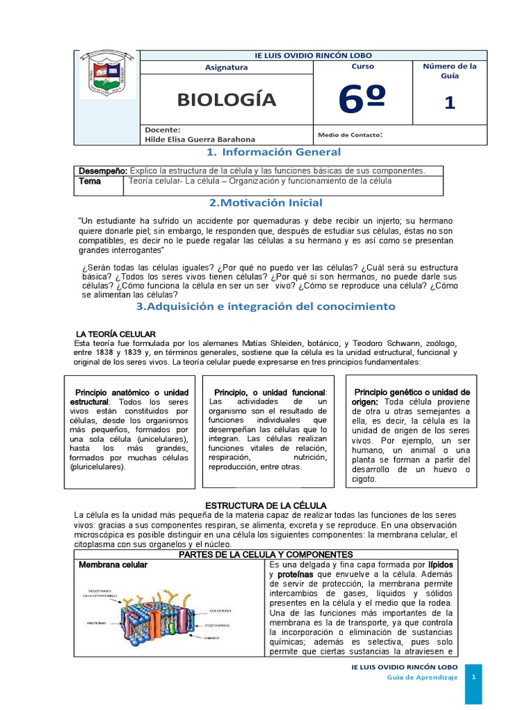 Estructura y Función de la Célula | PDF | Citoplasma | Biología Celular)