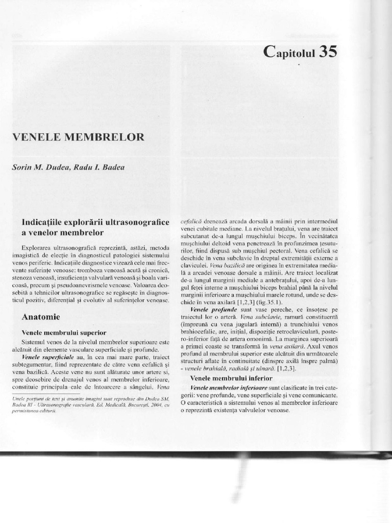 Venele Membrelor | PDF