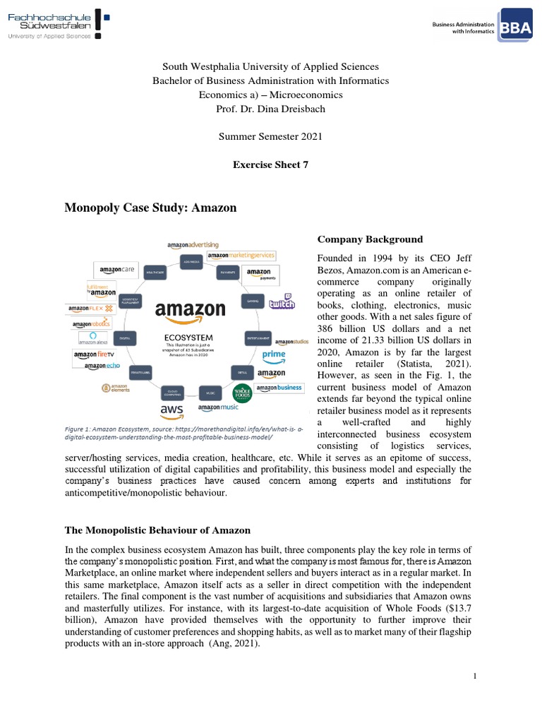 Monopoly Case Study: Amazon: Exercise Sheet 7 | PDF | Monopoly | Sales