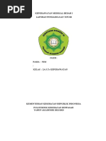 LP Demam Typhoid | PDF