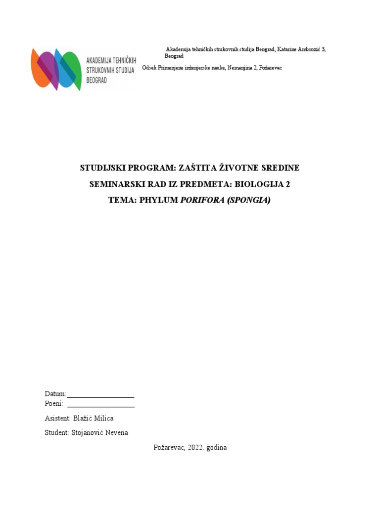 Phylum Spongia - Porifera | PDF