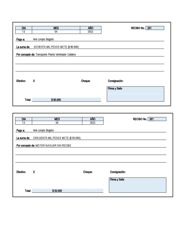 Formato de Recibo de Pago Efectivo | PDF