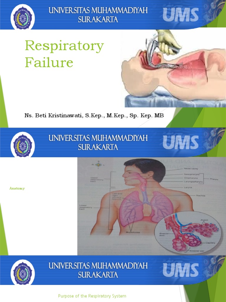 Understanding Respiratory Failure: A Guide to the Mechanisms, Diagnosis ...