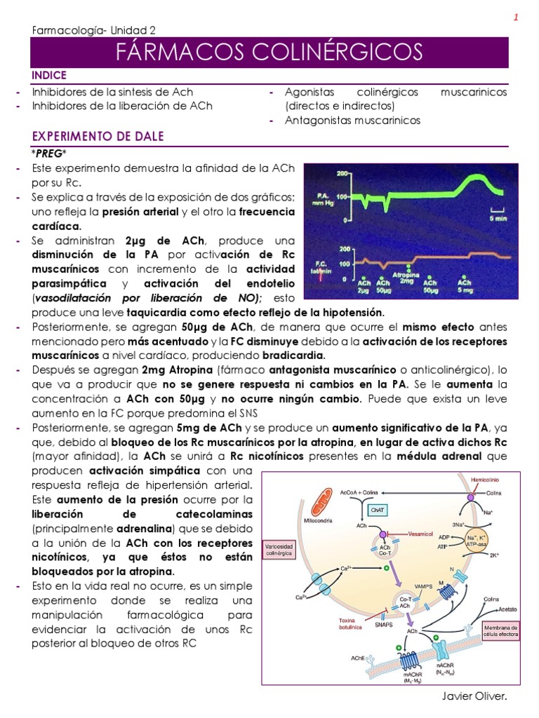 Fármacos Colinérgicos | PDF | Glaucoma | Medicina CLINICA