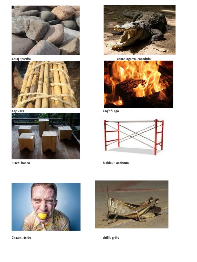 Alfabeto Poqomchi y Album | PDF