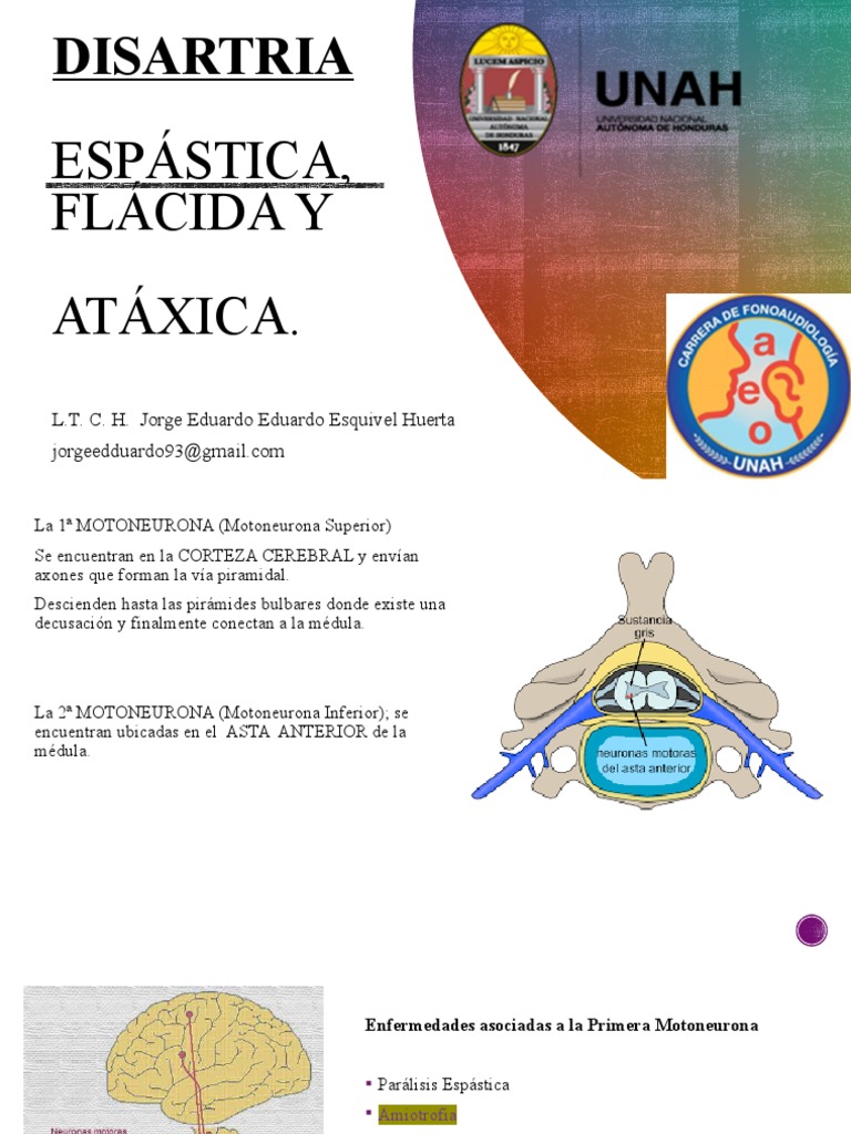 Disartria - Espastica, Flacida y Ataxica | PDF | Cerebro | Neurociencia