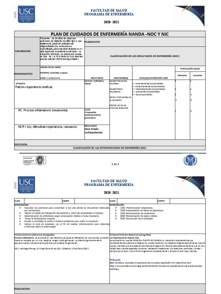 Plan de Cuidados de Enfermería Nanda - Noc Y Nic | PDF | Neumonía ...
