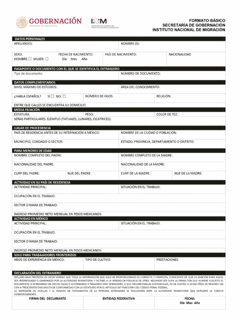 Formato INM MÉXICO | PDF