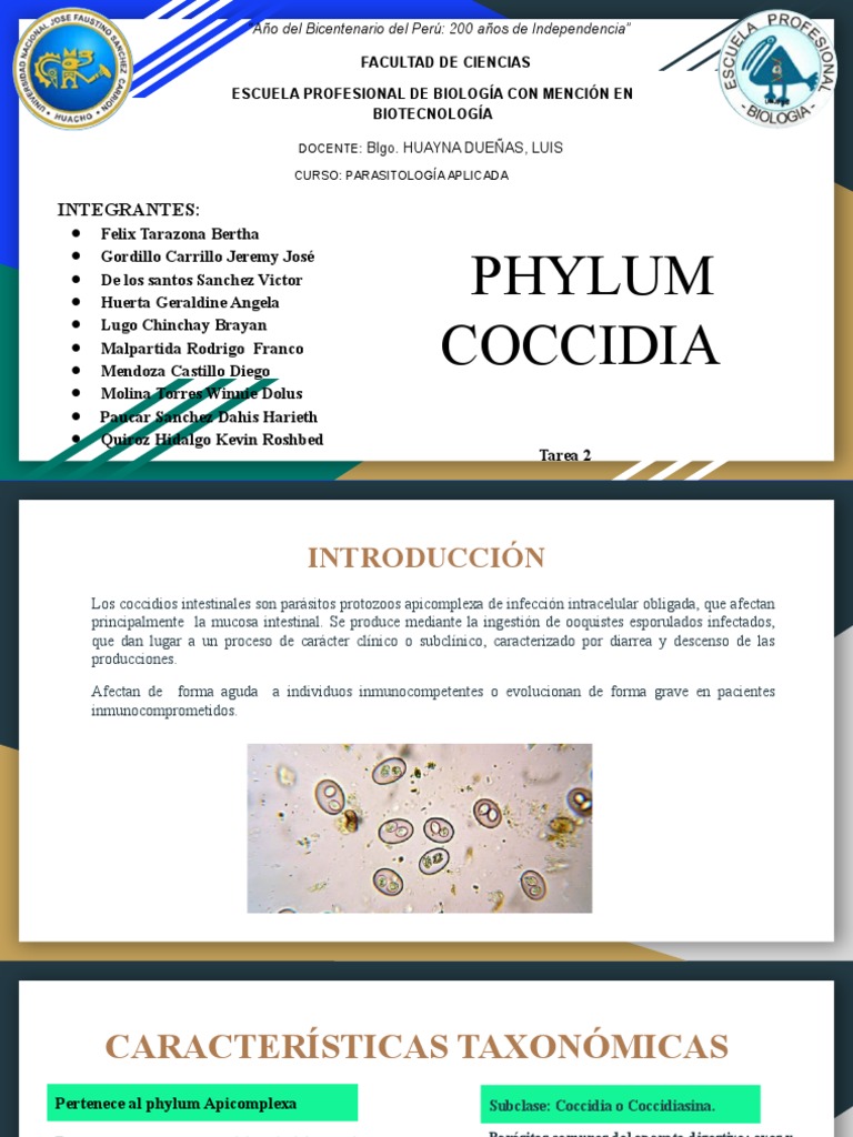 Phylum Coccidia | PDF | Diarrea | Especialidades Medicas