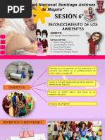 Sesion 4 - Psicoprofilaxis | PDF | Parto | Especialidades Medicas