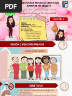 Efecto Poseiro | PDF | Placenta | Feto
