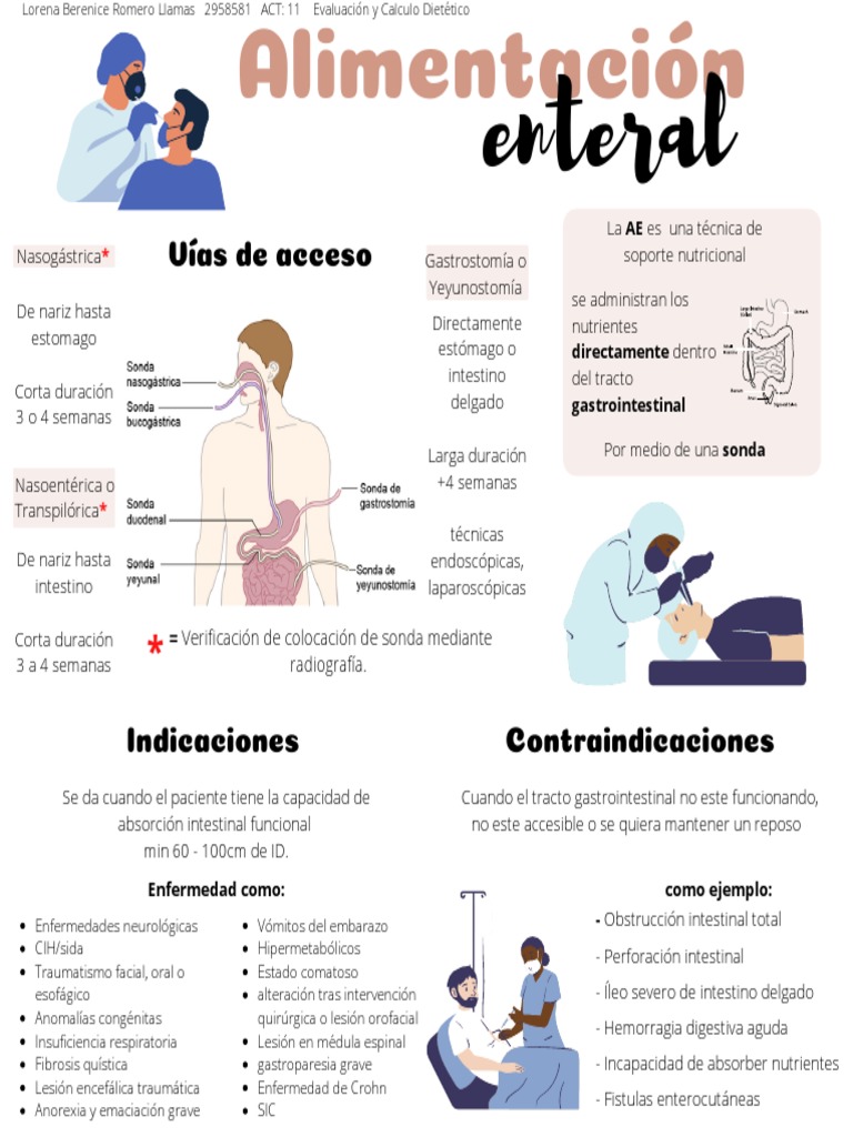 Enteral: Vías de Acceso | PDF | Tracto gastrointestinal | Enfermedad de ...