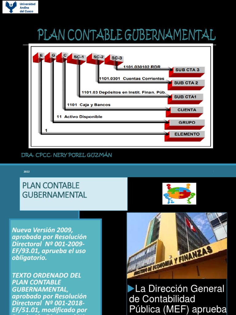 Plan Contable Gubernamental | PDF | Contabilidad | Economias