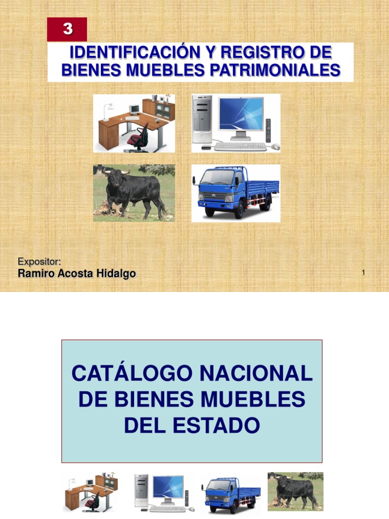 Registro de Bienes Muebles Patrimoniales | PDF | Contabilidad | Economias