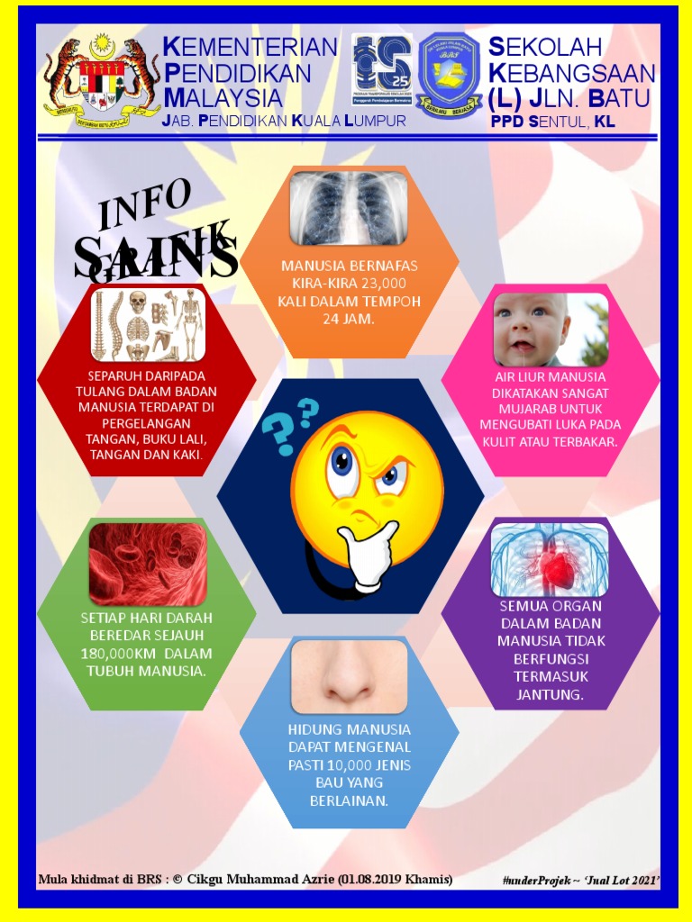 Infografik Sains | PDF