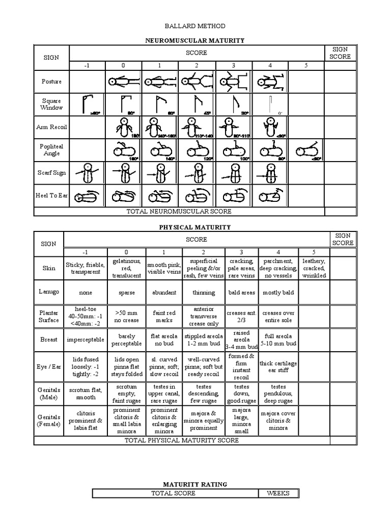 Ballard Method | PDF | Health Sciences | Human Diseases And Disorders
