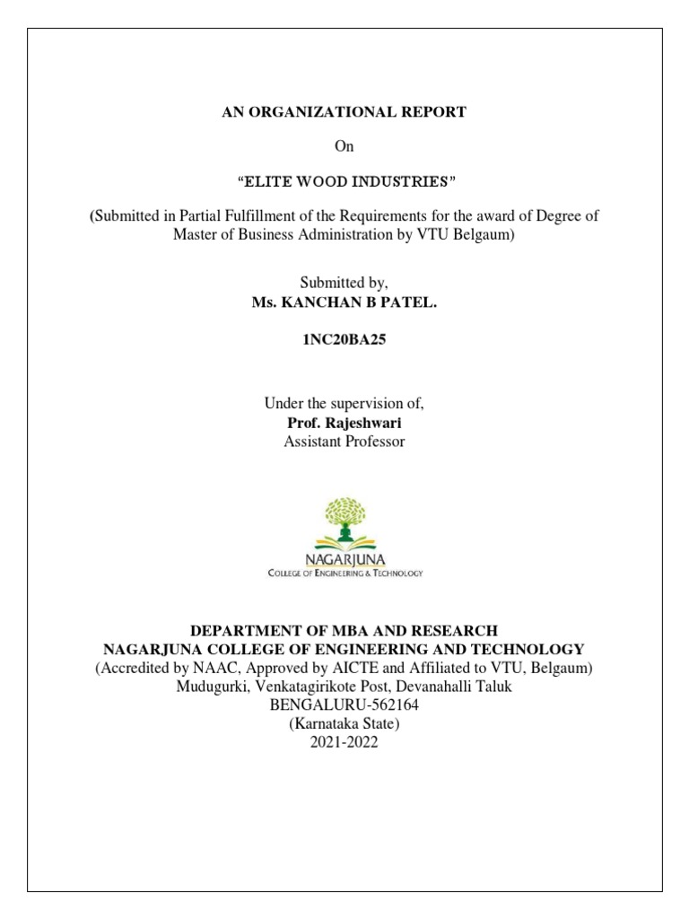 An Organizational Report Template | PDF | Master Of Business ...