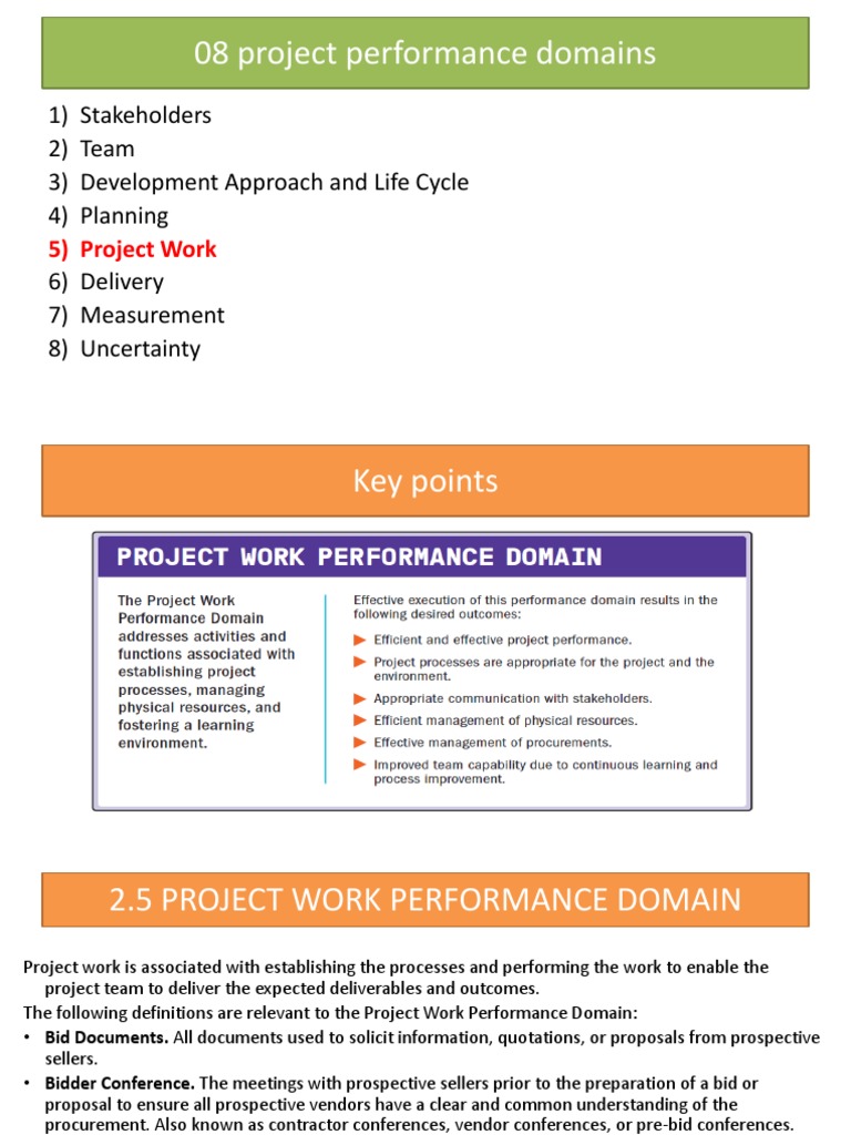 08 Project Performance Domains | PDF | Procurement | Cognition