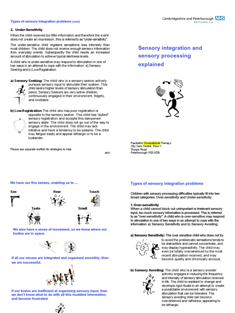 Sensory Integration Explained A5 | PDF | Senses | Somatosensory System