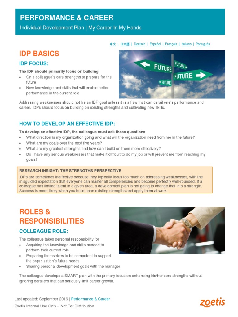 Idp Basics: Performance & Career | PDF | Mentorship | Leadership