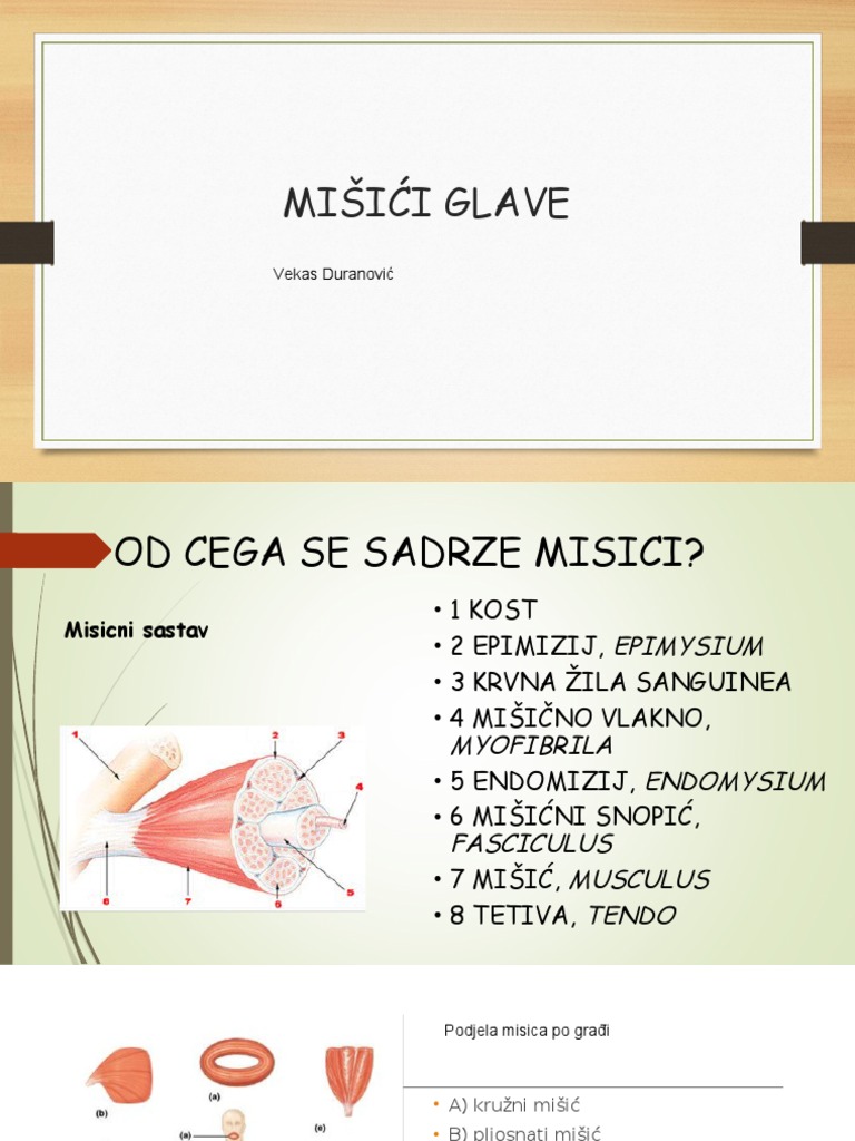Misici Glave Prez | PDF