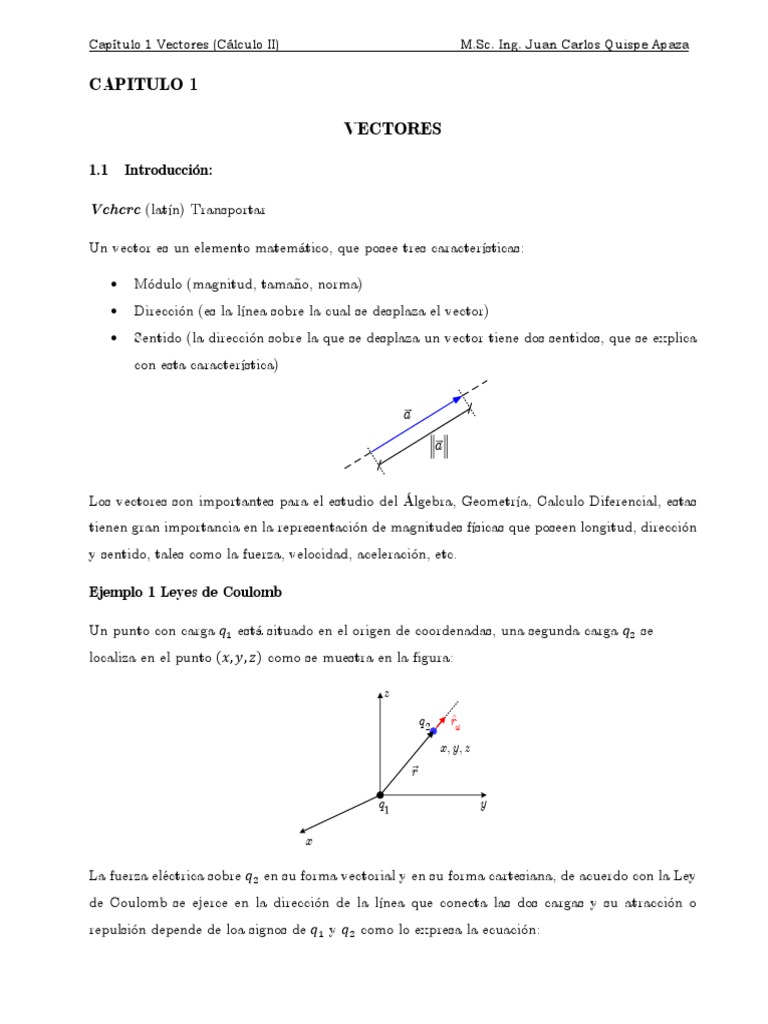 Capitulo 1 Vectores en R3 | PDF | Masa | Fuerza