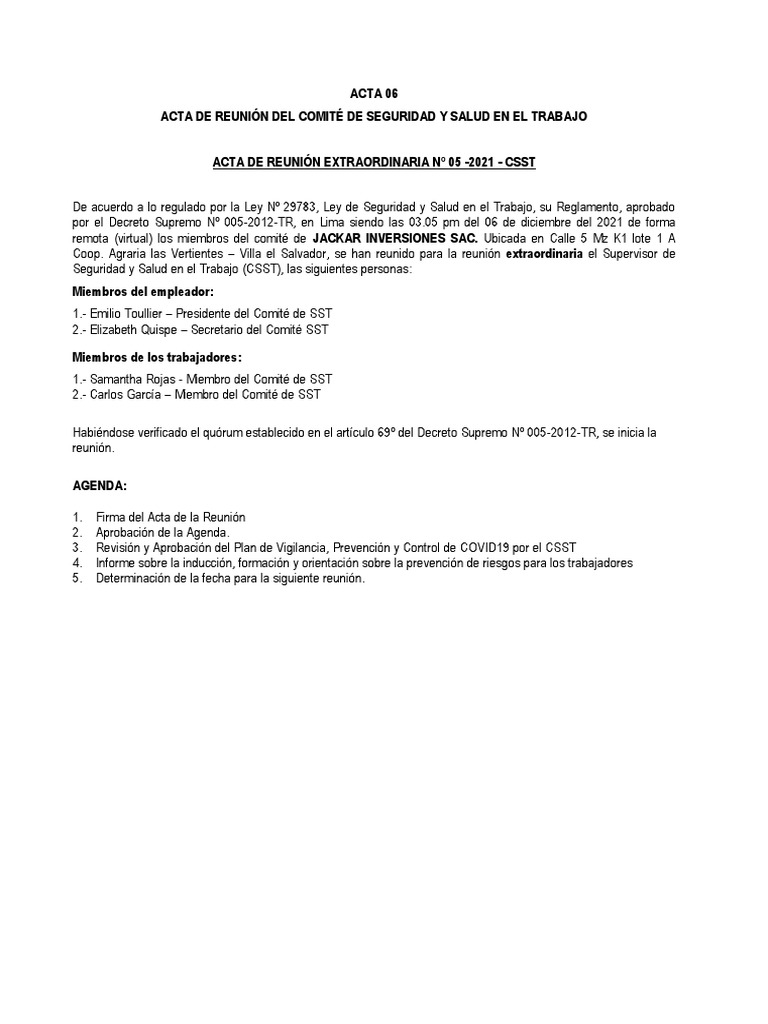 Acta 06 - Acta de Reuniones Del CSST - Extraordinaria | PDF | Gobierno