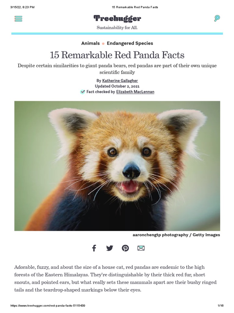 15 Remarkable Red Panda Facts | PDF | Giant Panda | Organisms