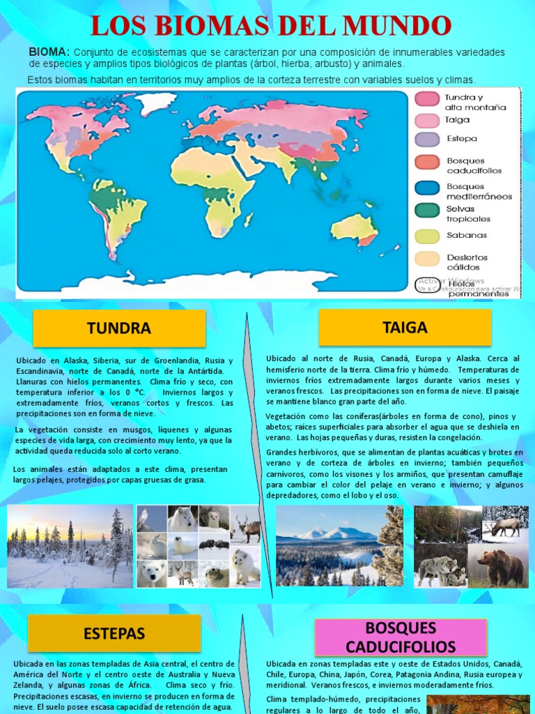 Biomas Del Mundo 9no Egb Aa 2021-2022 | PDF | Organismos | Geografía Física