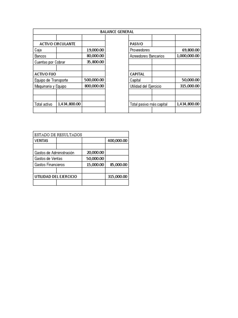 Balance General y Estado de Resultados | PDF