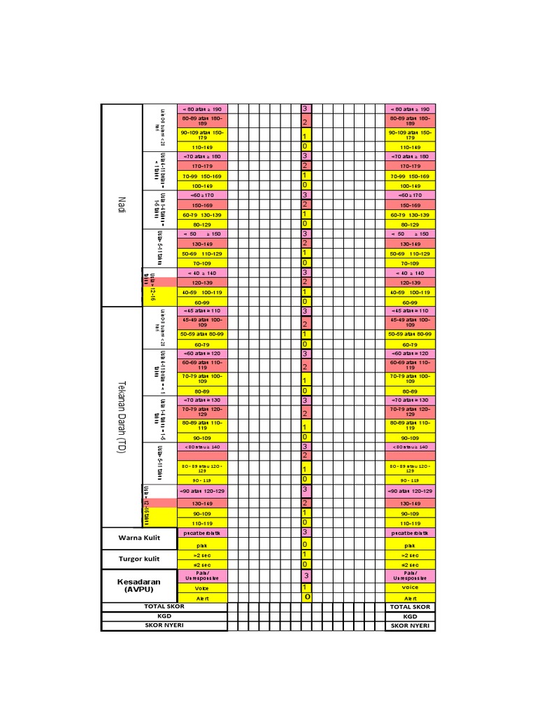 Formulir Pengkajian Ews Anak | PDF