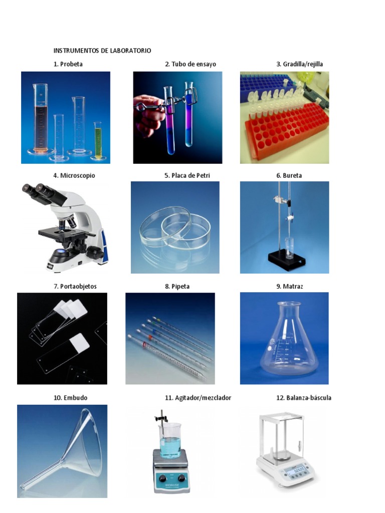25 Instrumentos de Laboratorio Esenciales | PDF | Cocina, comidas y ...