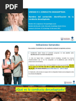 Ejemplos de Conductas Desadaptativas | PDF