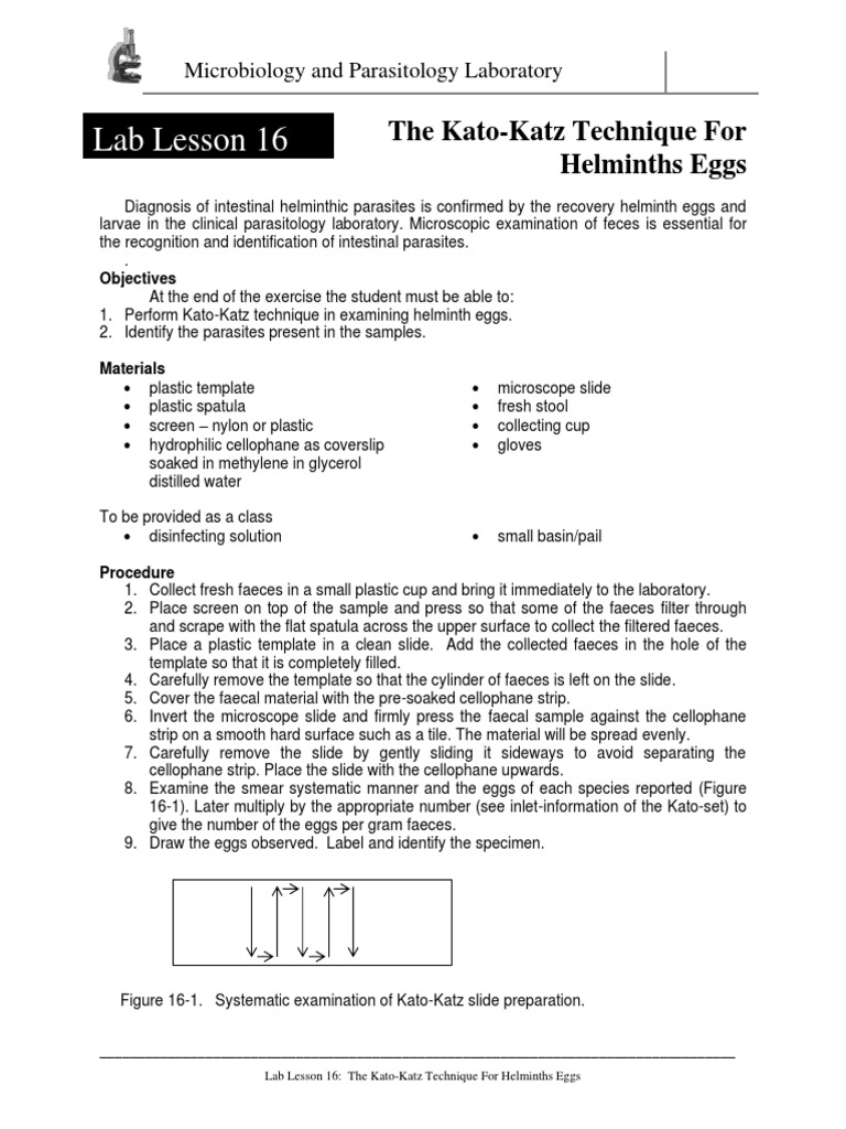 Lab Lesson 16: The Kato-Katz Technique For Helminths Eggs | PDF ...