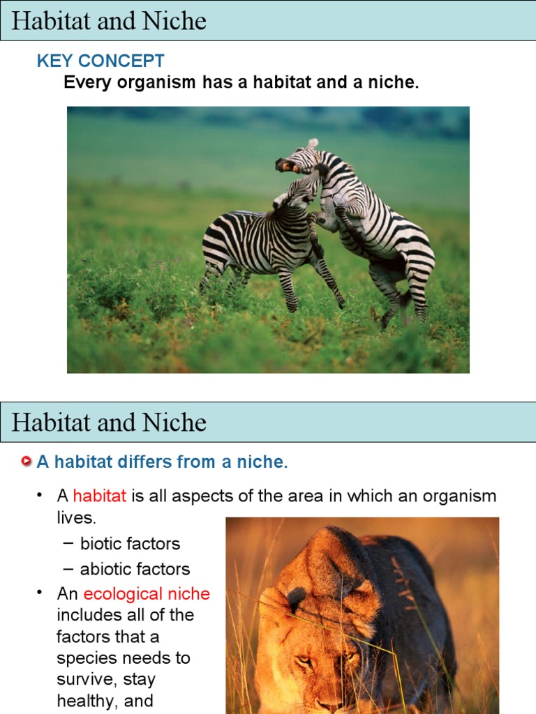 Habitat vs. Niche: Key Concepts in Ecology | PDF | Ecological Niche ...
