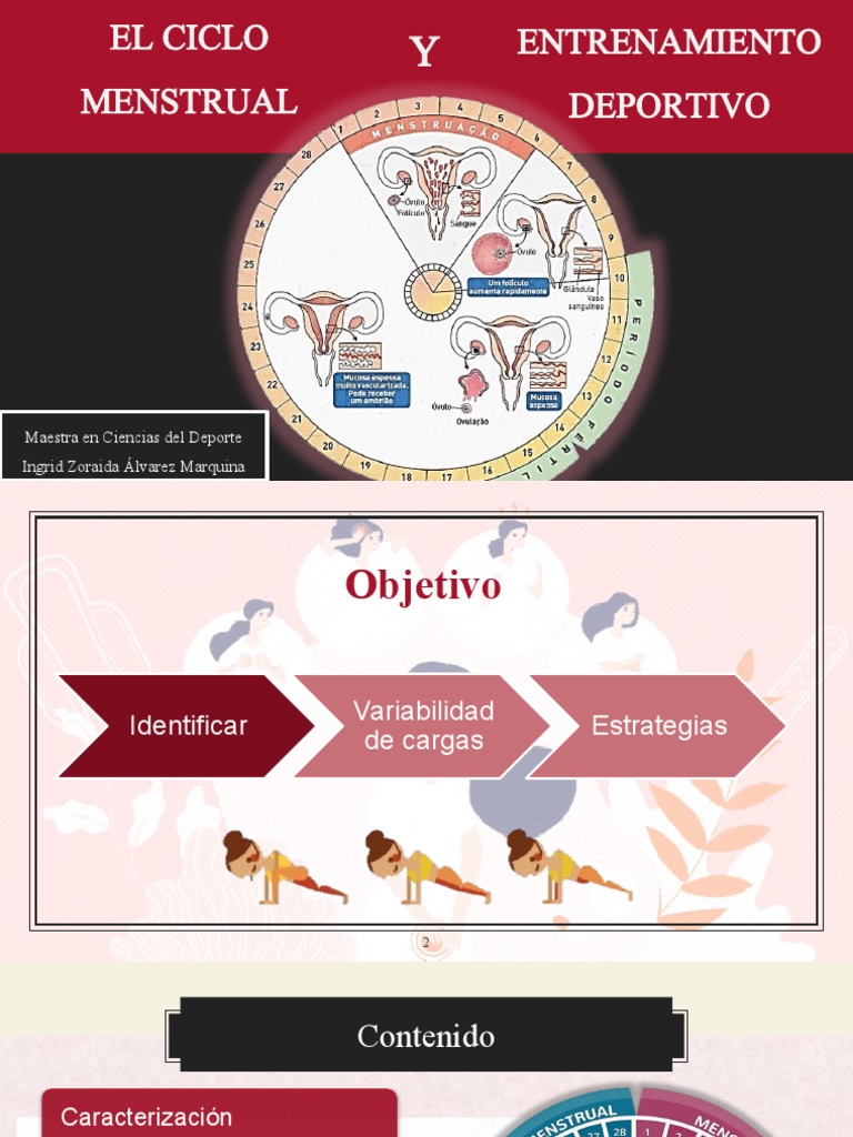 Entrenamiento y Ciclo Menstrual 1 | PDF | Ciclo menstrual | Enfermedades y trastornos