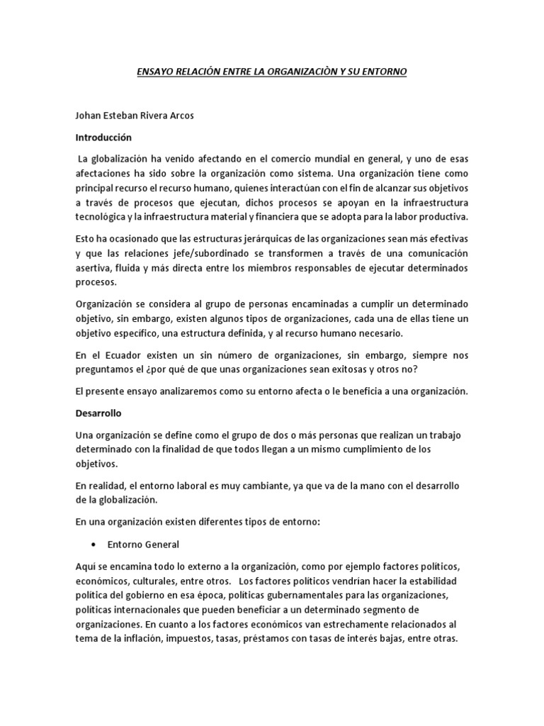 ENSAYO Organización y Su Entorno Johan Rivera | PDF | Business | Economias