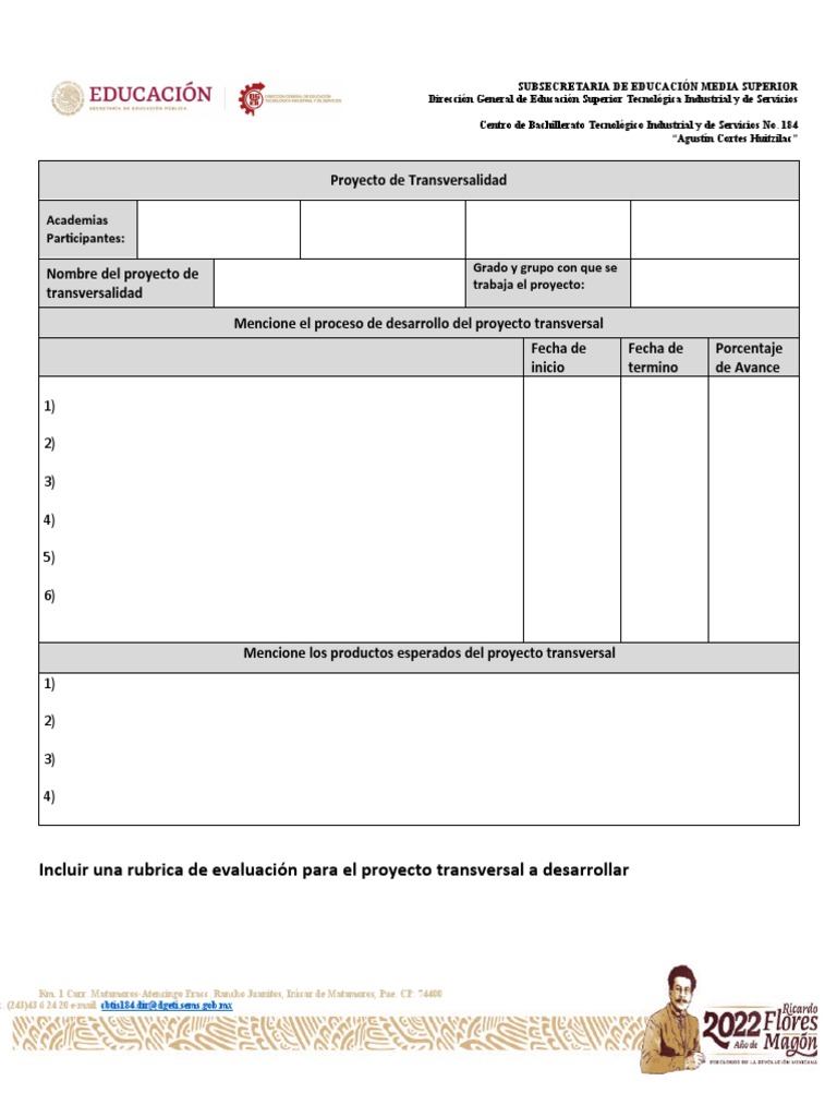 Formato para El Desarrollo de Un Proyecto de Transversalidad | PDF