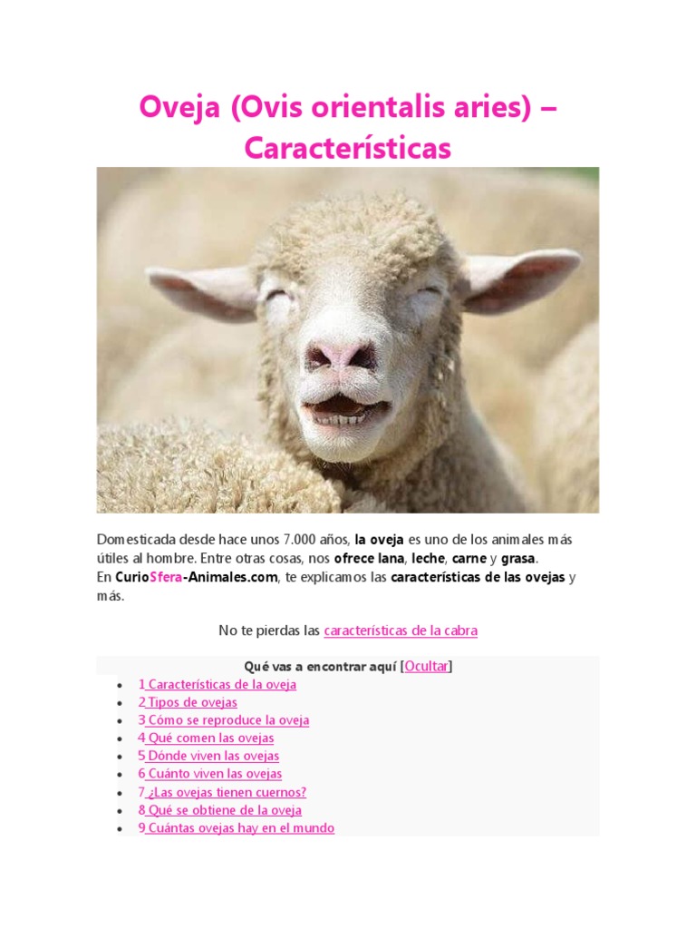 Oveja | PDF | Oveja | Lana