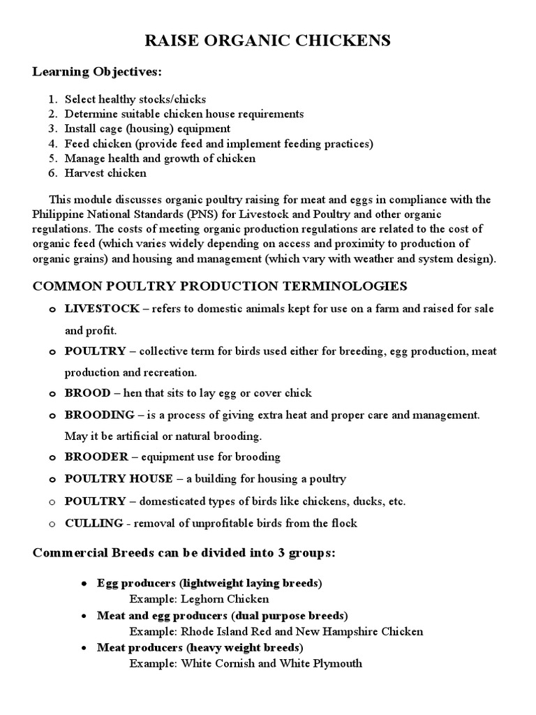 Organic Chicken Farming Guide | PDF | Chicken | Poultry