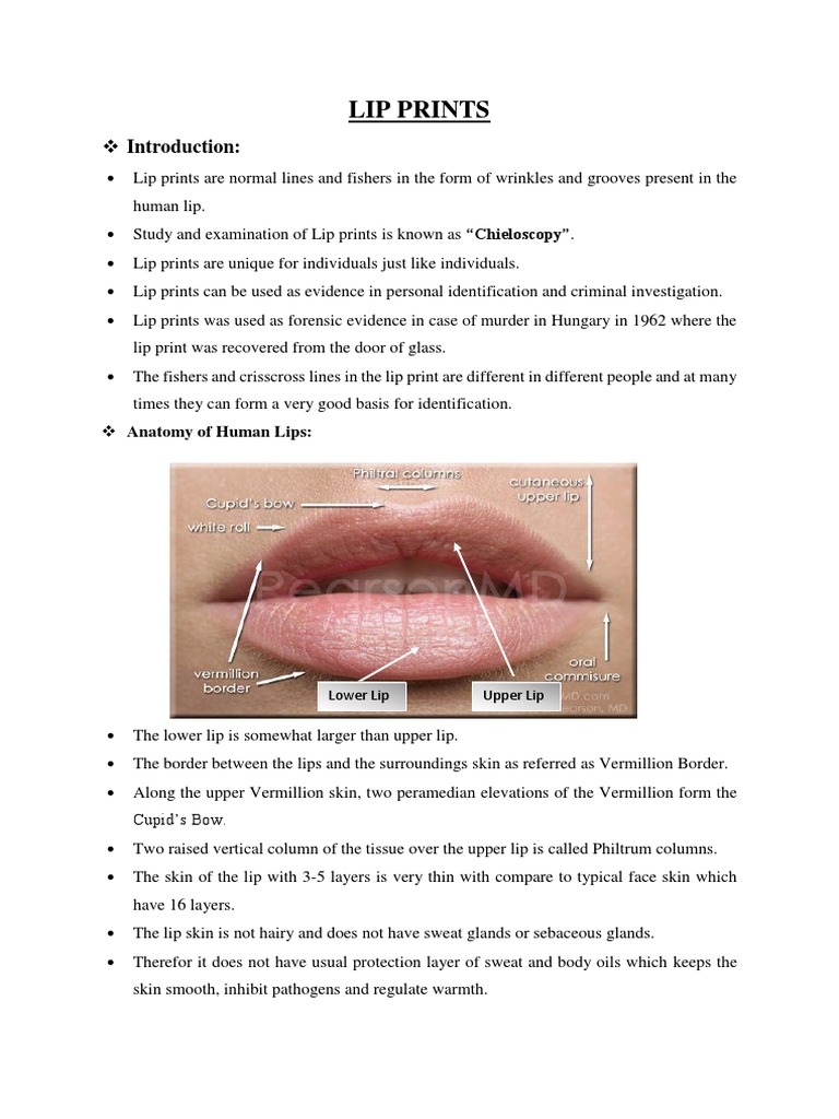 Lip Prints: Introduction | Download Free PDF | Lip | Skin