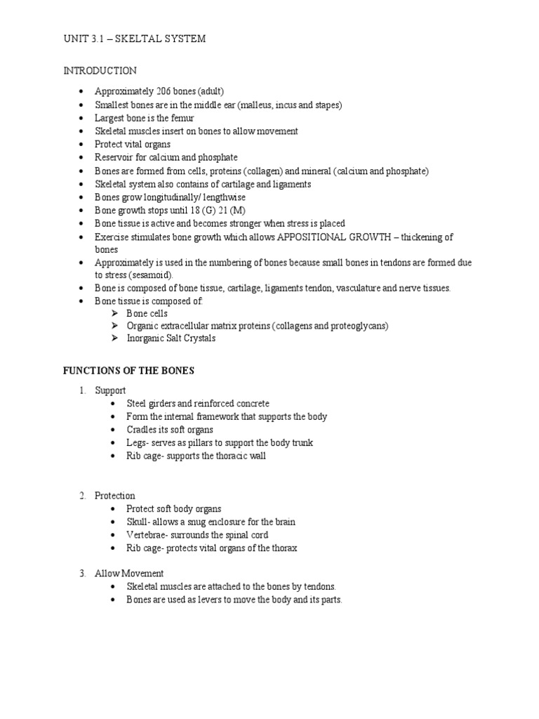 Unit 3.1 - Skeltal System: Functions of The Bones | PDF | Bone | Skeleton