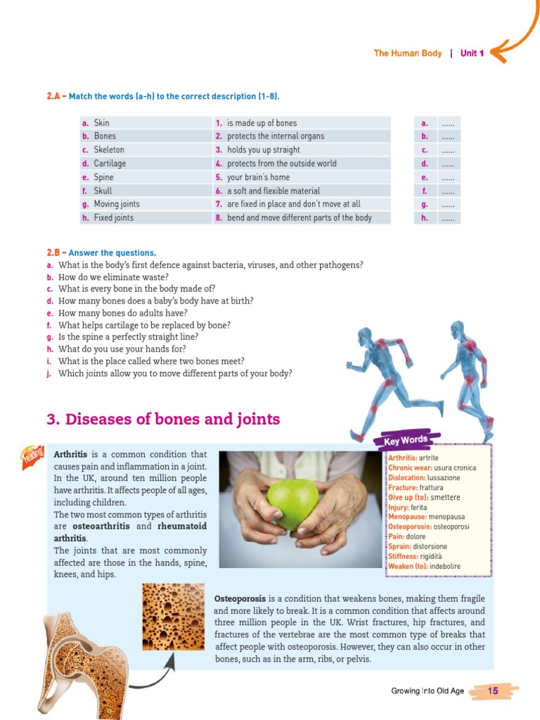Diseases of Bones and Joints | PDF | Osteoporosis | Osteoarthritis