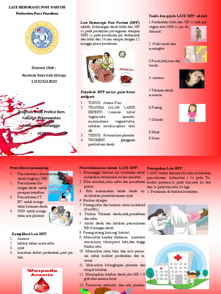 Leaflet Late HPP - Nyoman Beni Icuk A | PDF
