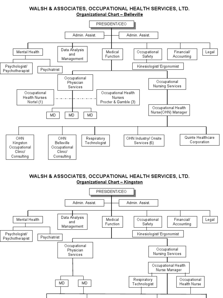 Walsh Org Chart Master | Download Free PDF | Health Care | Nursing