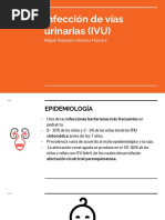 IVU en Pediatría | PDF | Infección del tracto urinario | Sistema urinario
