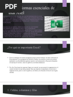 Triptico | PDF | Microsoft Excel | Software